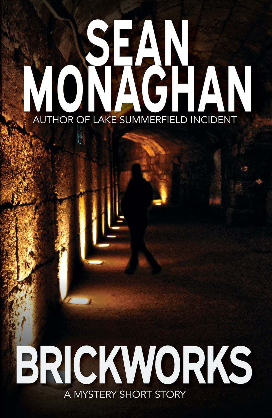 Sean Monaghan, Writer